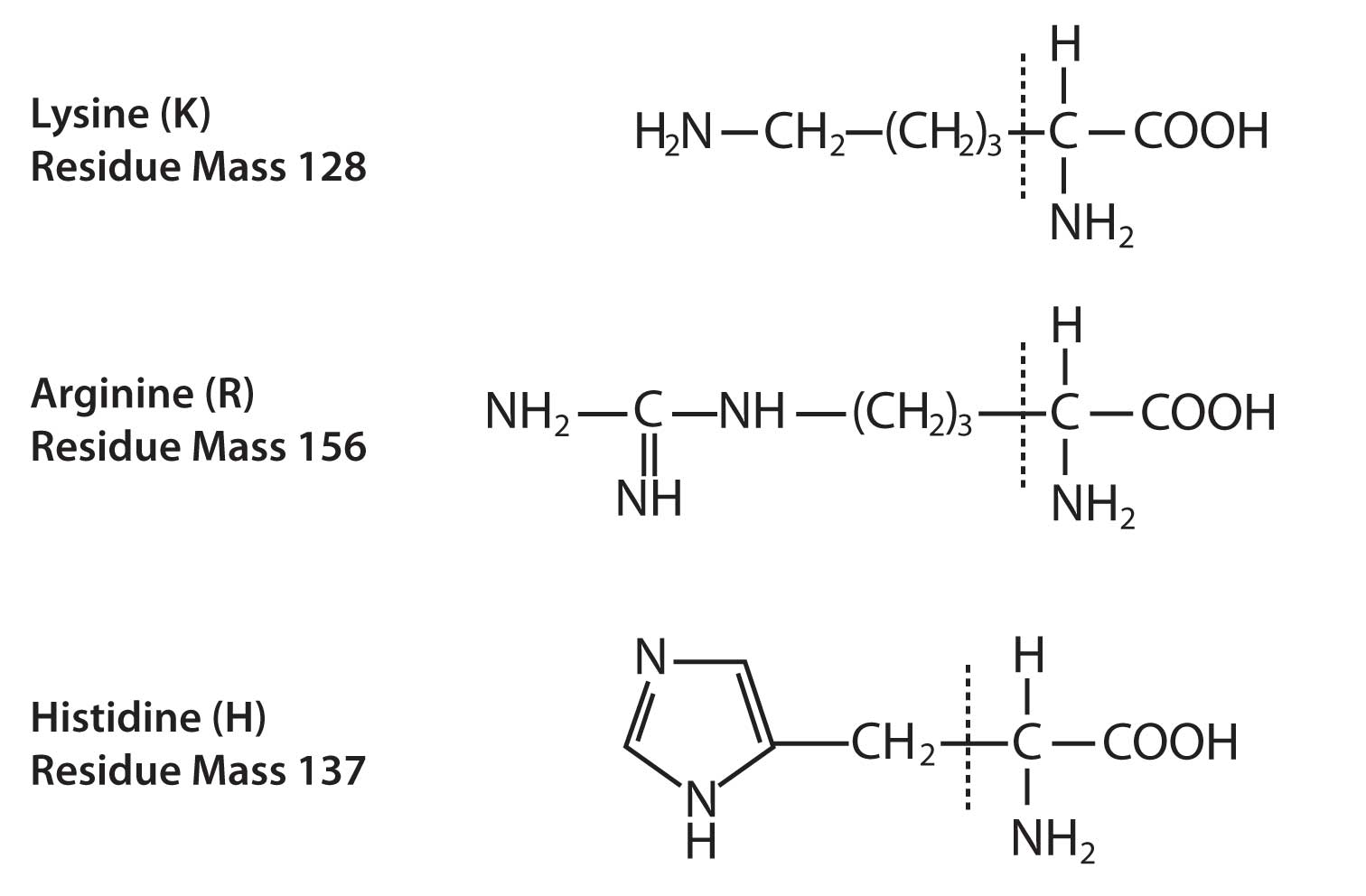 Determination of Intact Protein Molecular Mass from Multiple-Charge ...